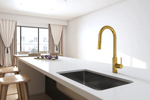 C-3RKMBG Navona Carysil Round Brushed Yellow Gold Pull Out Kitchen Mix ...